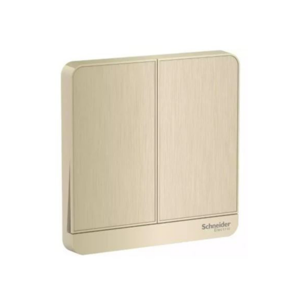 Schneider Electric 1 Way 2 Switches 16AX 250V in Dubai, UAE