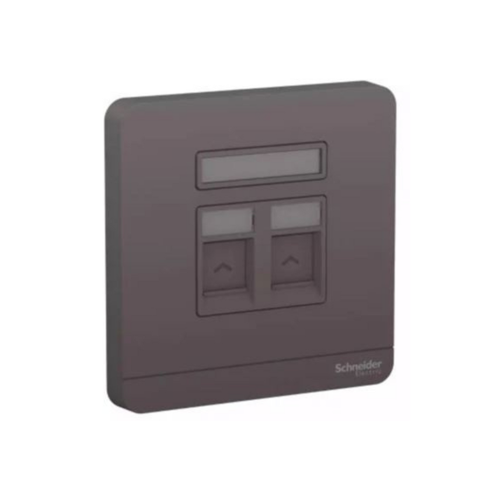Schneider Electric Wallplate for 2 Keystone RJ45 in Dubai, UAE